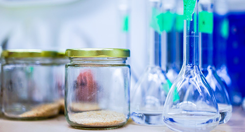 Collagen Vital | 30 Tage testen | Muskeln und Gelenke